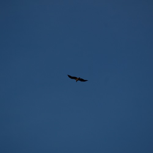 Stream Floating In Time (Pre-Production) by Samarth Chawla | Listen ...