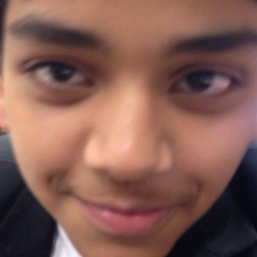 Stream A Tribute to Pulkit by Moe Lester | Listen online for free on ...