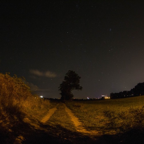 Stream Lower My Head by Leon Zeug | Listen online for free on SoundCloud