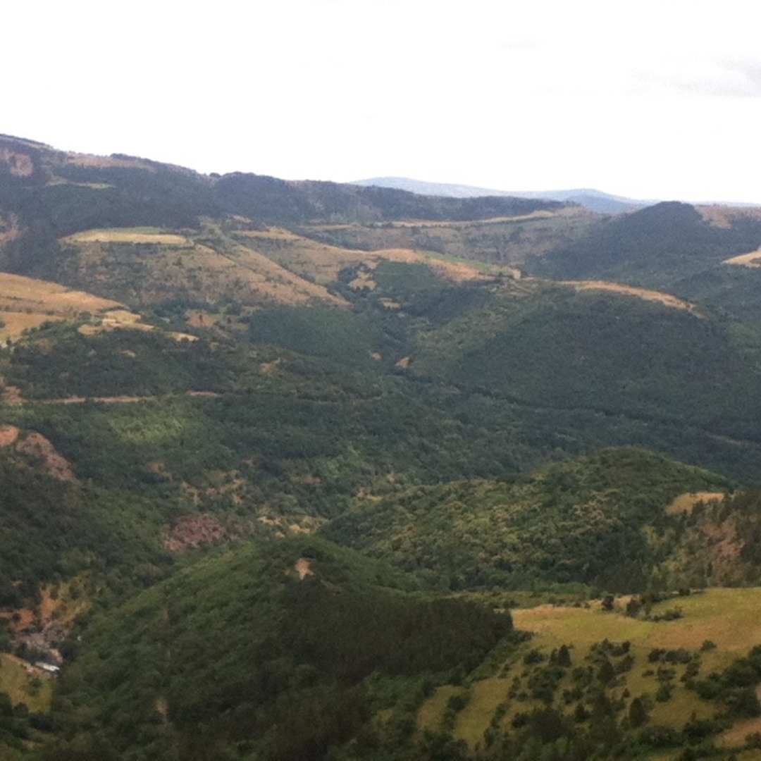 Stream Traci Prendergast | Listen to Non Linear Movement playlist ...