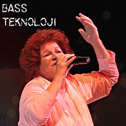 Stream Selda Bağcan - Ağladım Anne [Bass Teknoloji Remix] by Berke Can ...