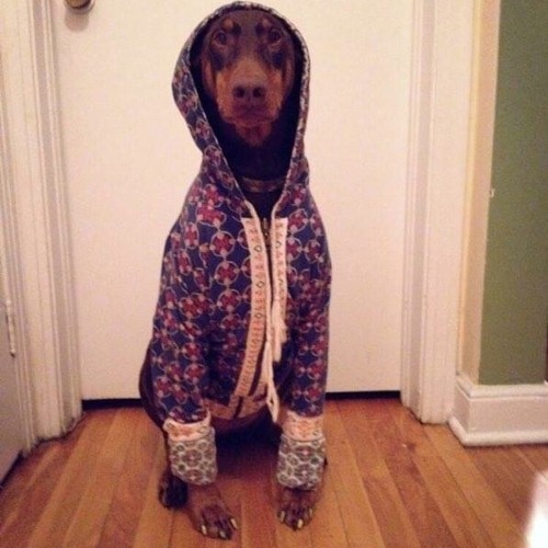 Stream MAGA 2.0 by Melsgree | Listen online for free on SoundCloud