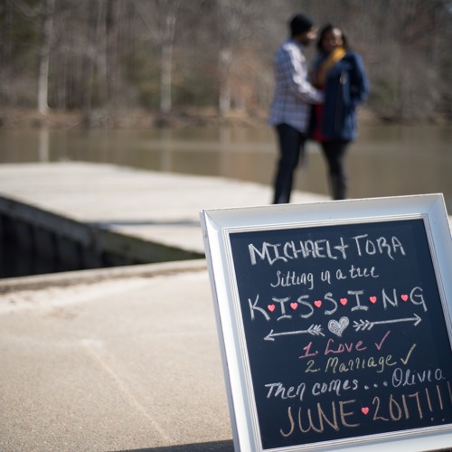 Stream Dimity Duck Narrarated By Michael Goodwyn by Michaelg2422 ...