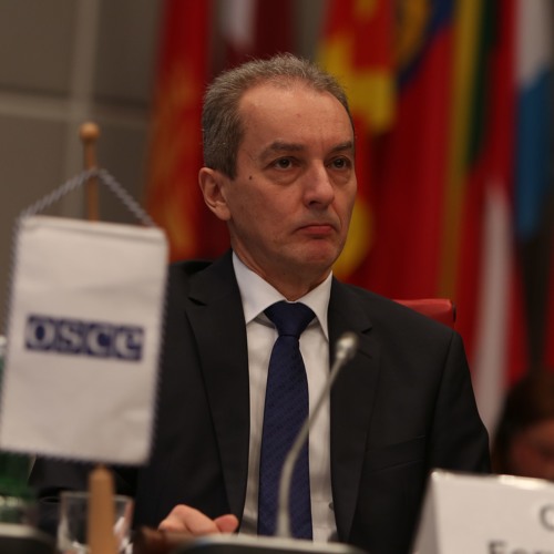 Stream OSCE Chairperson of the FSC Cristian Istrate Discusses the ...