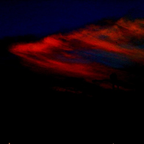 Stream Up They Rise - for string quartet by Georgina Bowden | Listen ...