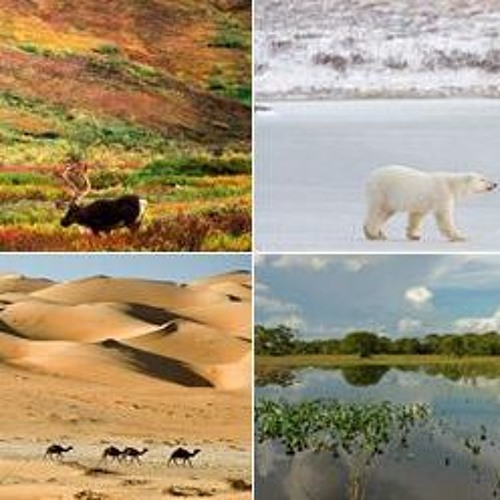 Stream Biomas - Marchinha Alex Bryk by Hetnon Freitas | Listen online ...