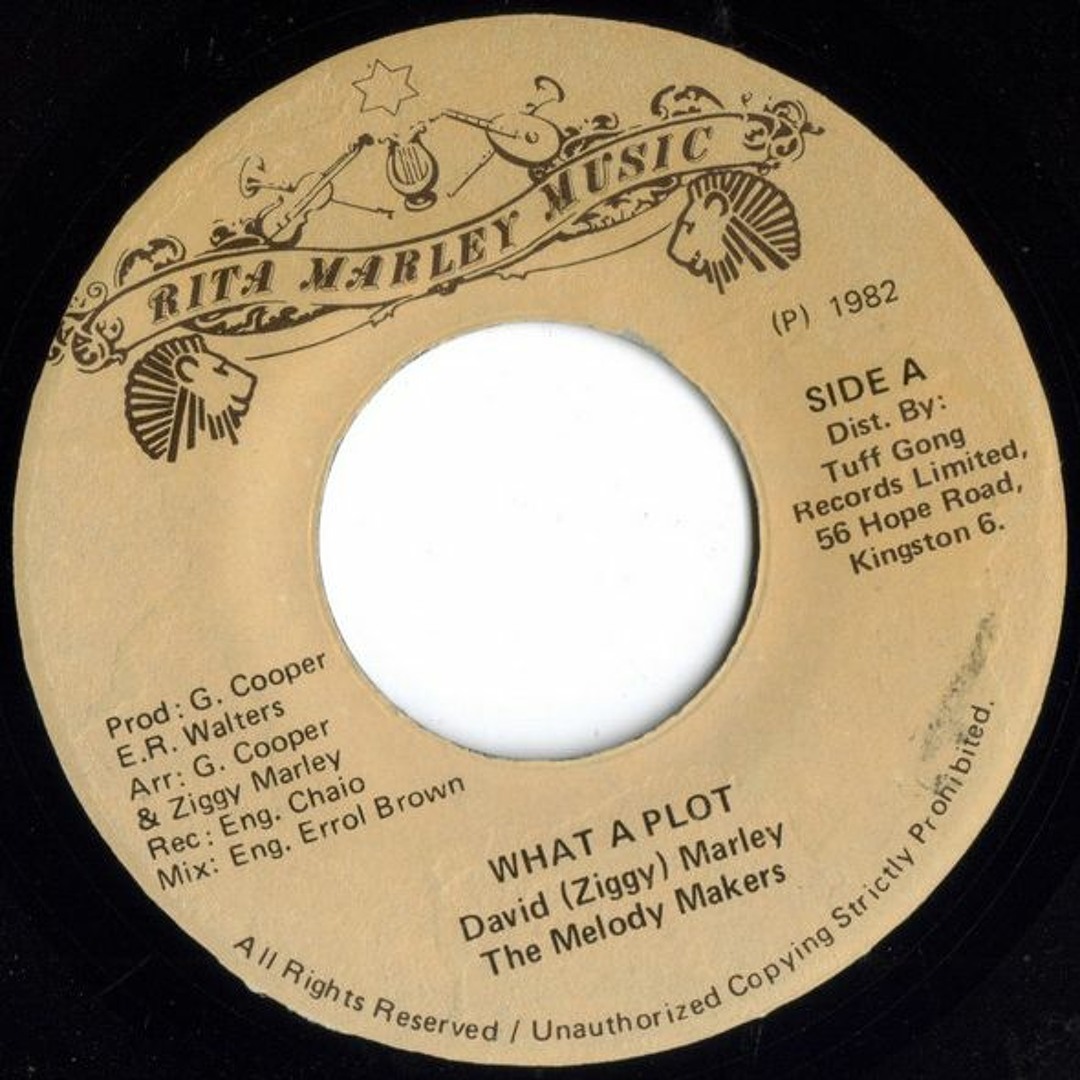 Stream David "Ziggy" Marley "Dem A Plot" (Rita Marley Music) by ...