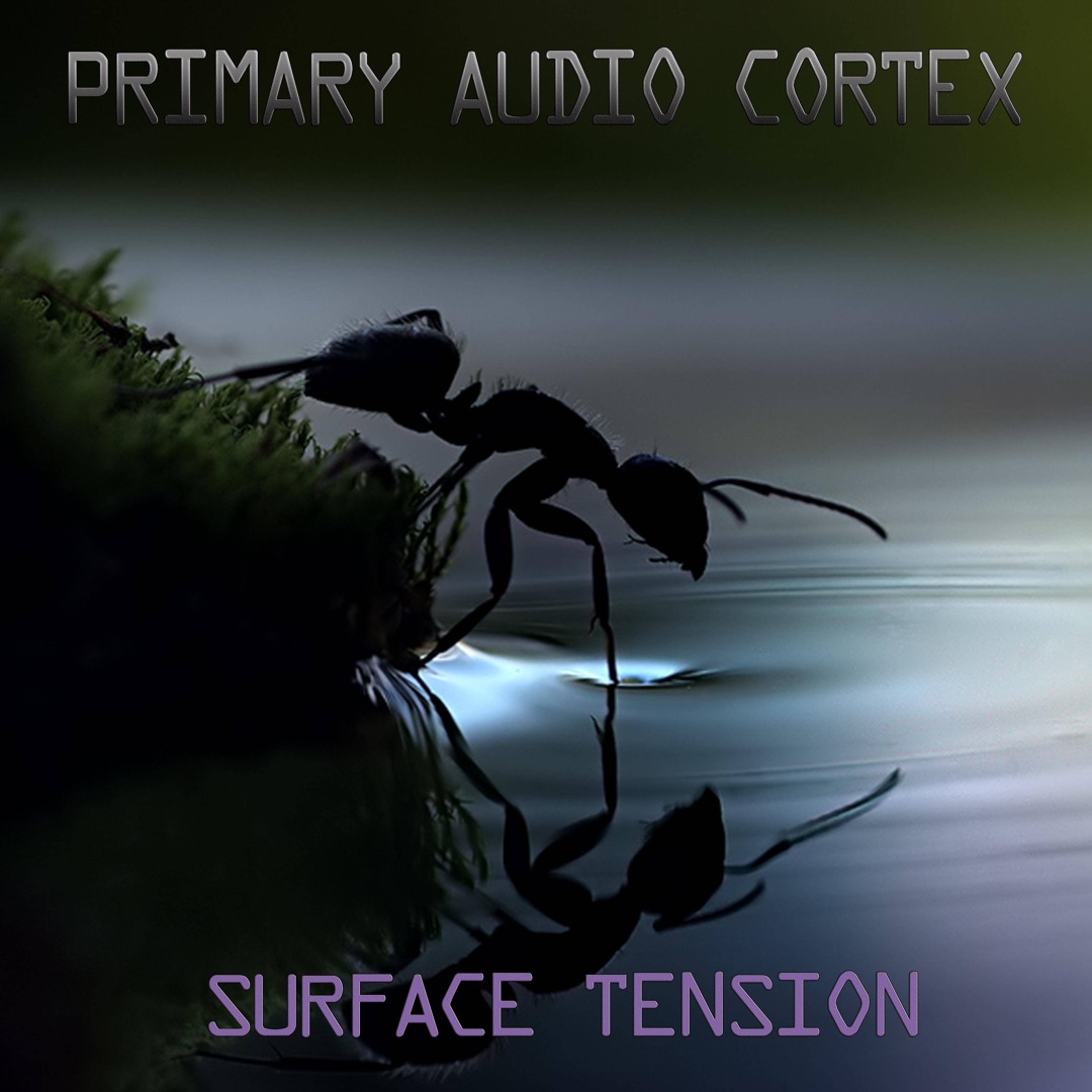 Stream Surface Tension by Primary Audio Cortex by X-Ray Sound | Listen ...