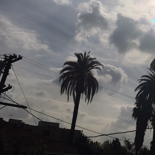 Stream The Transition Team by Stephen_Muldrow | Listen online for free ...