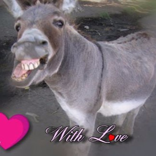 Stream Paty Ahmar | Listen to bhbk y hmar playlist online for free on SoundCloud