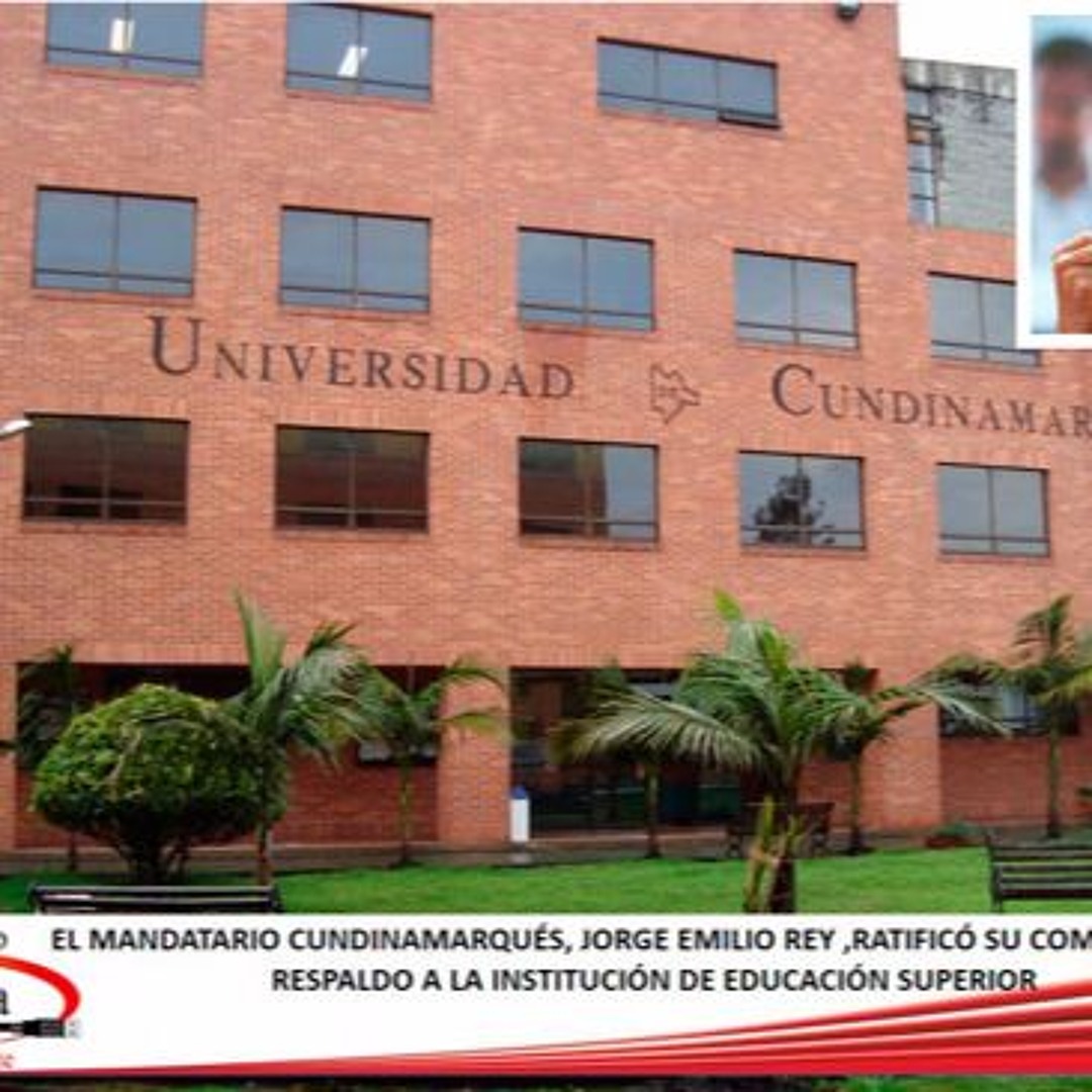 Stream "Insinuar que vamos a privatizar o no apoyar la Udec es burdo y ...