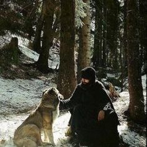 Stream dance monk wolf tree by jaesang | Listen online for free on ...