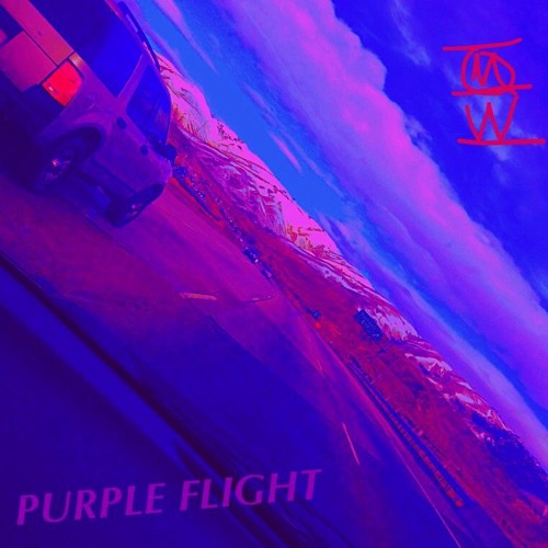 Stream PURPLE FLIGHT (Prod. Thizzmich) by Buffalo Chill | Listen online ...