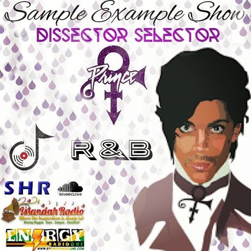 Stream SAMPLE EXAMPLE SHOW - R&B ft. PRINCE by Dissector Selector | Listen online for free on ...