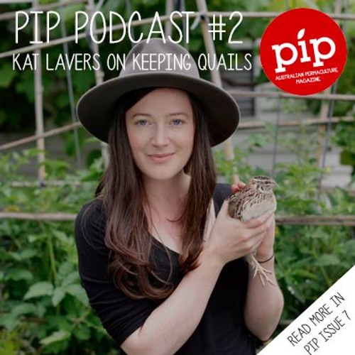Stream episode Pip Permaculture Podcast #2: Keeping Quails with Kat Lavers by Pip Magazine ...
