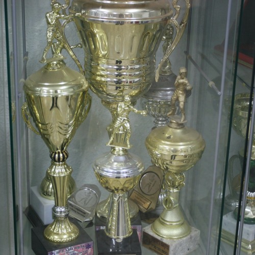 Stream MusicVillageRadio | Listen to 2017 Indy Awards playlist online ...