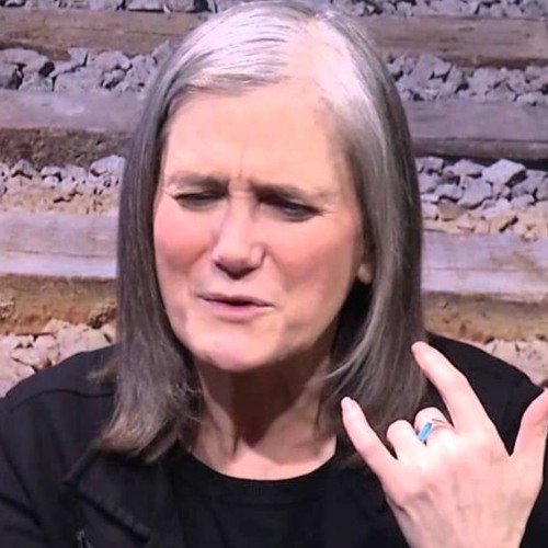 Stream Mimi Dvorak's Flock of Amy Goodman Wah-wahs by newton21989 ...