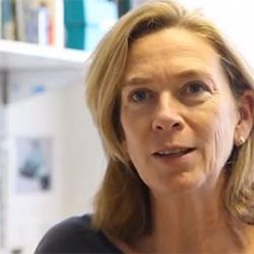 Stream episode An introduction to Conservation - Julia Nagel by ...