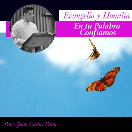 Stream MARCOS 9, 41-50 by Parroquia Loreto | Listen online for free on ...