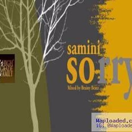 Stream Sorry (Justin Bieber Cover) by SAMINI | Listen online for free ...