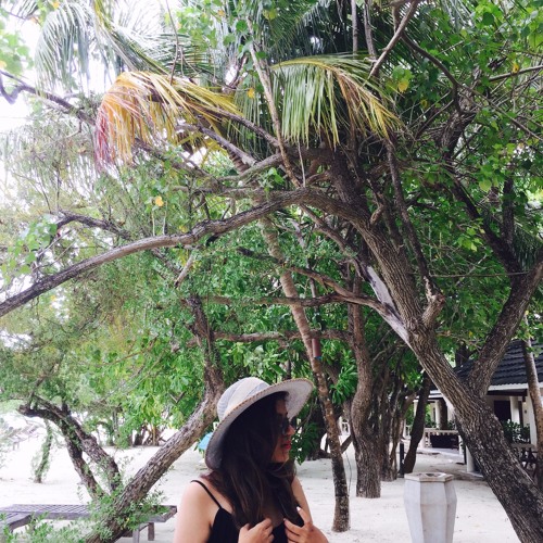 Stream "Hey There Delilah" by Plain White T's by Dimple Sankhla ...