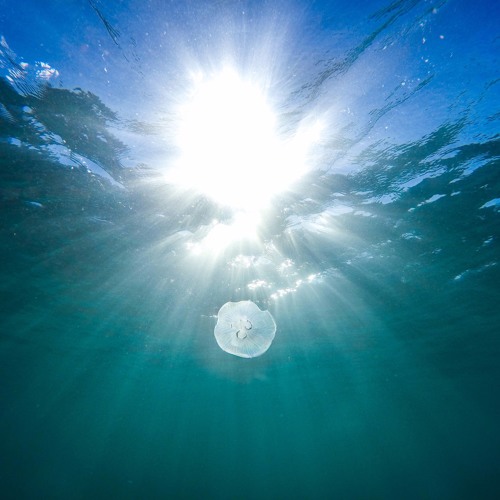 Stream Open Arms, Open Book (Rodleen Getsic & ayyüce) by Rüya Hanım ...