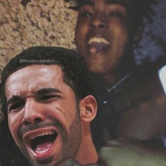 Travis Connor's Instagram, Twitter & Facebook on IDCrawl