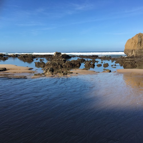 Stream Principes by Patrick Pillon 1 | Listen online for free on SoundCloud