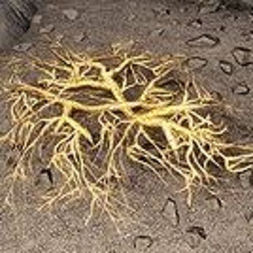 Stream Creep Cluster 1 by ReverseLandfill | Listen online for free on ...