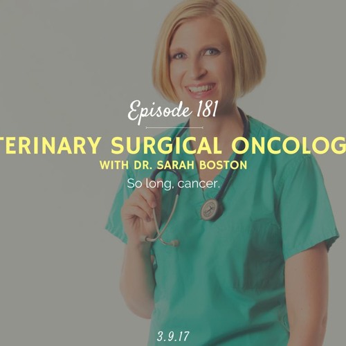 Stream episode Veterinary Surgical Oncologist (with Dr. Sarah Boston ...