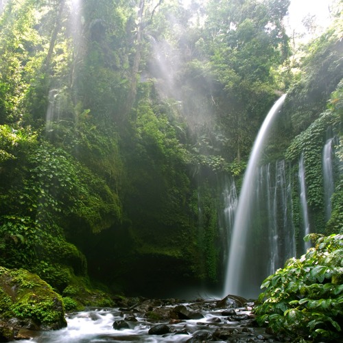 The Economist asks: What would a modern utopia look like? | social ...