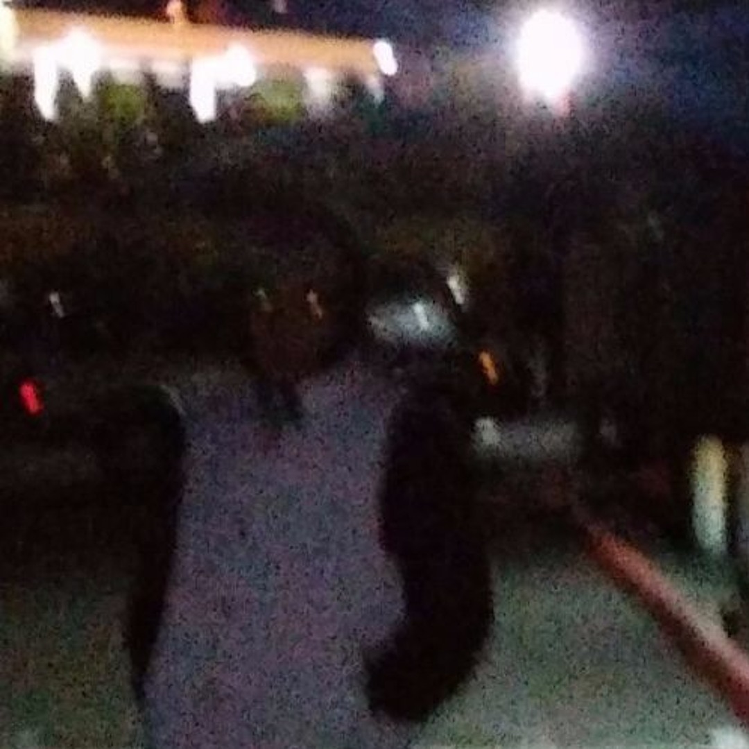 Stream clouuds | Listen to Litty Lit playlist online for free on SoundCloud