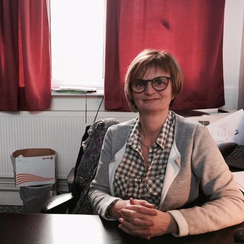 Stream Kritisch Interview met Ann De Souter by Fien Janssen | Listen ...