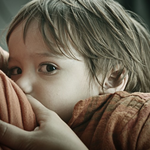 Stream 6 Core Continuum Concept Principles You Can Apply In Your Family ...