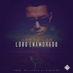 Laura Nuccio's Instagram, Twitter & Facebook on IDCrawl