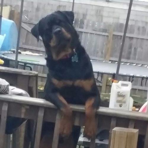 Stream Ken - E - Fun - Ken by Ross Faulds | Listen online for free on ...