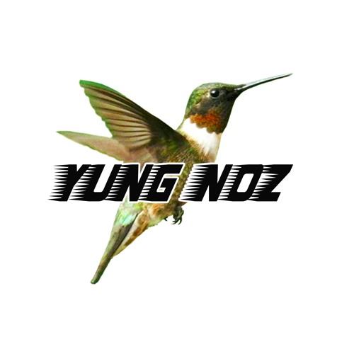 Stream Yung Noz - Bird Calls (prod. by lildickwhopper) by Nzuri ...