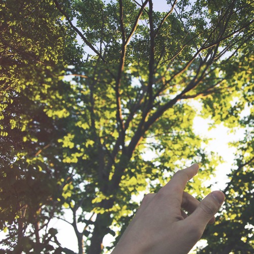 Stream Michael Genese | Listen to Home Recordings playlist online for ...