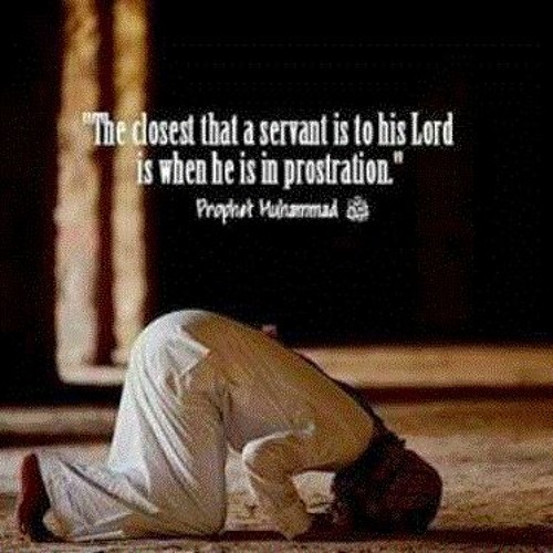 Stream The Secrets In Sujood ( Prostration During Muslim Prayer ) by ...