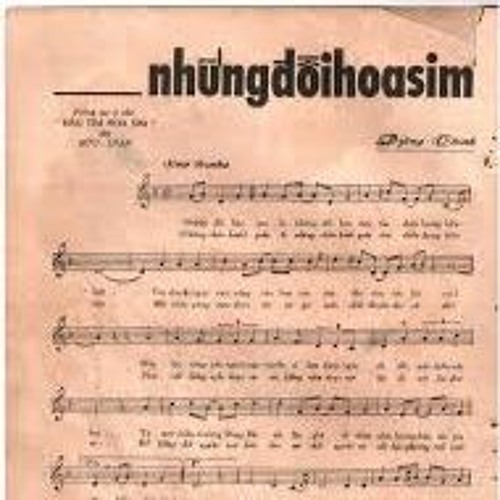 Stream Nhung Doi Hoa Sim by LKP | Listen online for free on SoundCloud