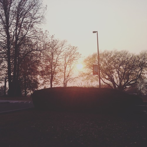 Stream Ally's Tribute by Kristen Herr | Listen online for free on ...