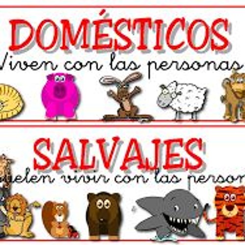 Stream El Sonido De Los Animales Canción Infantil Aprende Los