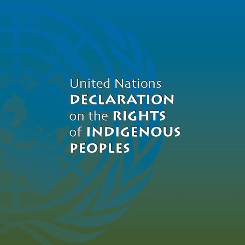 Listen to UNDRIP Article 15: Dignity and Diversity of Cultures by ...