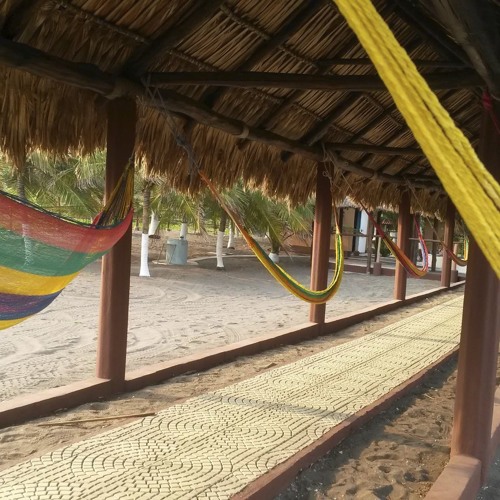 Stream Spot De Radio by Tania Alexandra Argueta | Listen online for ...