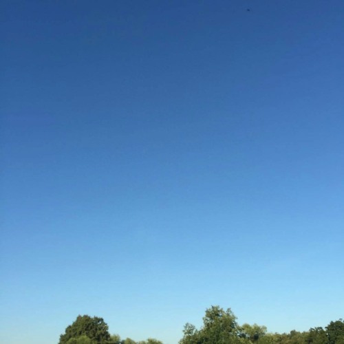 Stream Ariuka Ariun-Erdene | Listen to The Lemons playlist online for ...