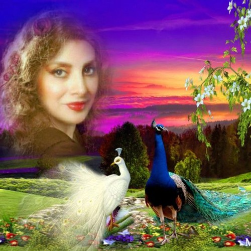 Stream SHIFTEH _ BAHARAN شیفته -بهاران by Shiftehmusic | Listen online ...