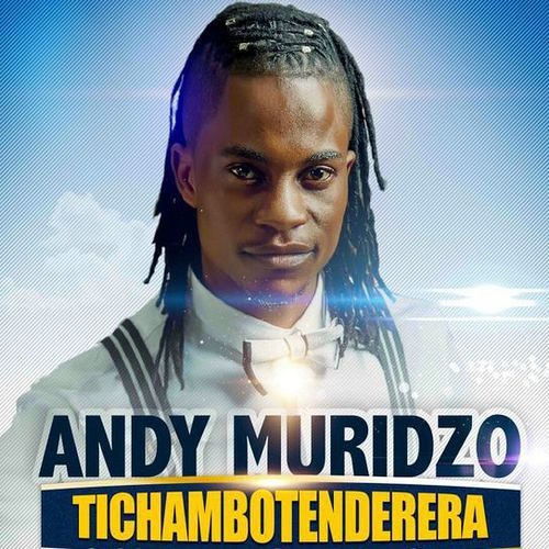 Stream Zim Urban Link | Listen to Andy Muridzo & the Jeetaz Band ...