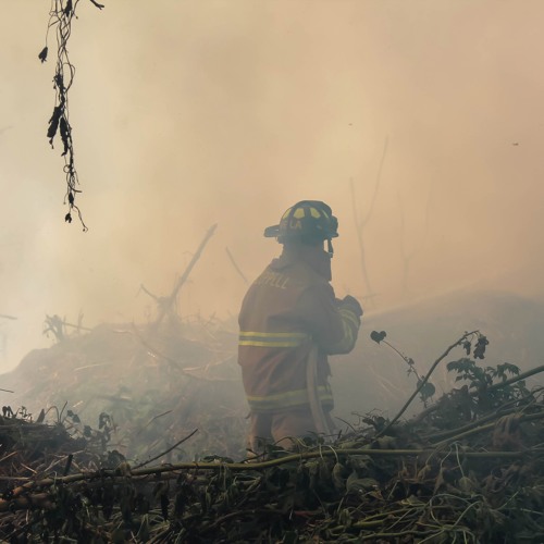 Stream Entrevista Bombero by Tania Alexandra Argueta | Listen online ...