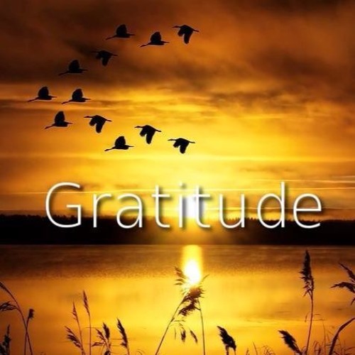 Stream Gratitude Meditation by Ciara Delaney | Listen online for free ...