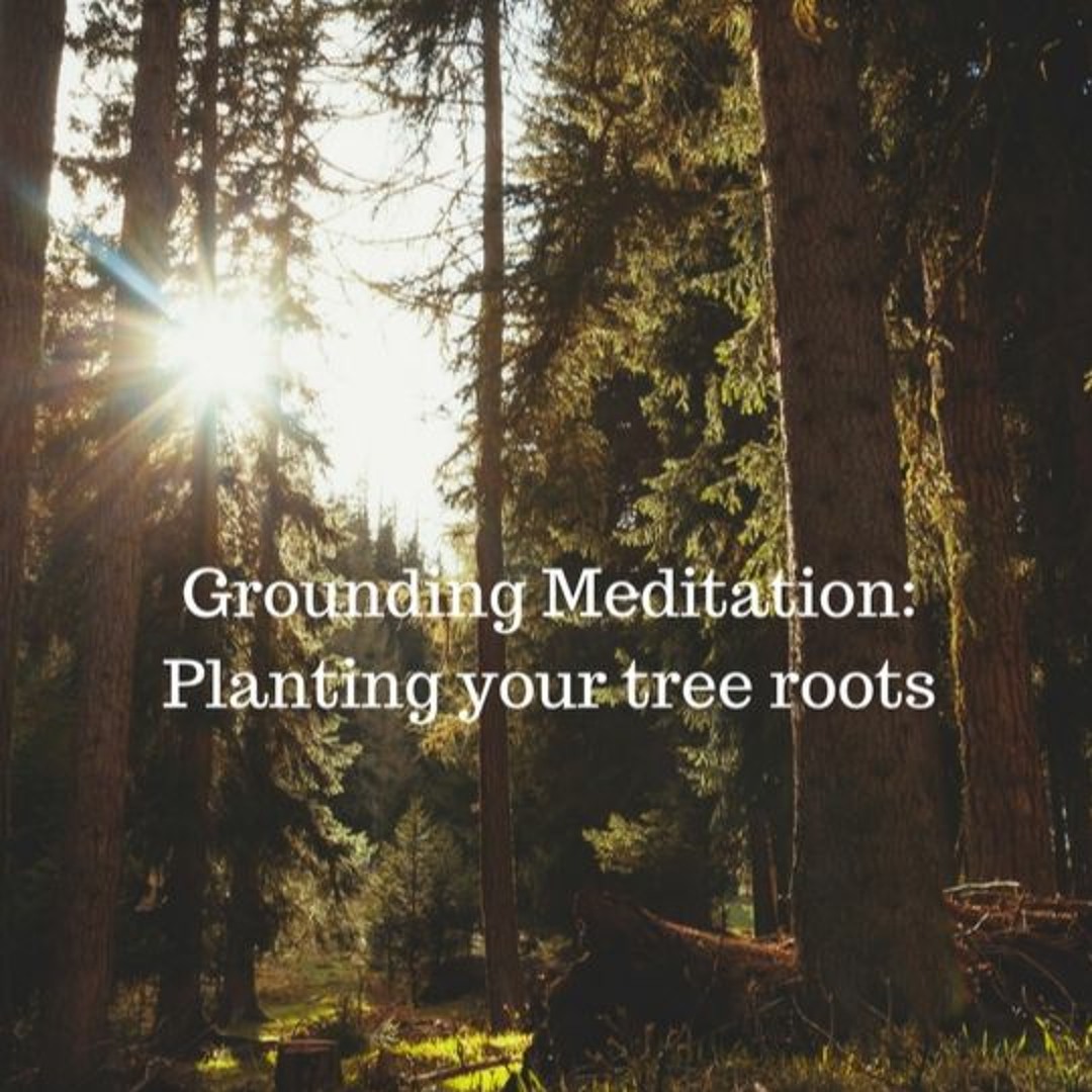 Stream Grounding Meditation: Planting Your Tree Roots by Charlene ...